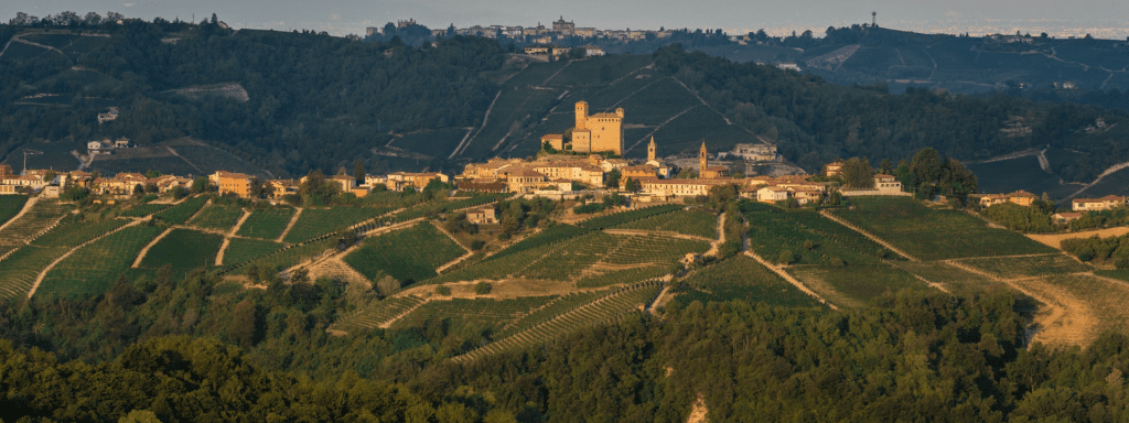Il Piemonte: vino, arte, natura e tradizioni - Vitae Online