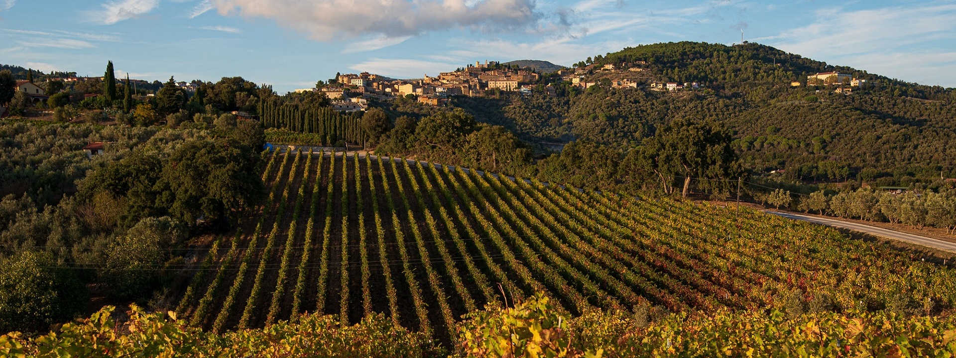 Suvereto e Val di Cornia Wine, un piccolo scrigno enologico vicino ...